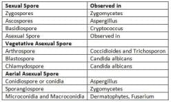 Mycology Chapter Notes - Microbiology - NEET PG PDF Download