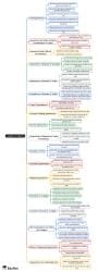 Mind Map: Legality of Objects - Law of Contracts - CLAT PG PDF Download