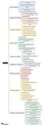 Mind Map: Auditing - UGC NET Commerce Preparation Course PDF Download