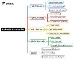 Mind Map: Animal Around Us - EVS for Class 1 PDF Download