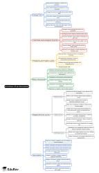 Mind Map: Functions of an Ecosystem - UPSC PDF Download