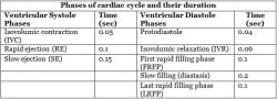 Cardiac Output and Regulation Chapter Notes - Physiology - NEET PG PDF ...