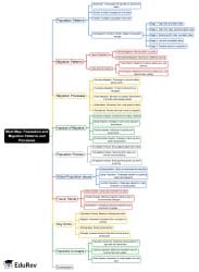 Population and Migration Patterns and Processes Mind Map - Grade 9 AP Human
