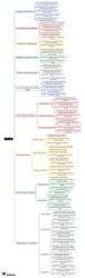 Later Vedic Age Mind Map - UGC NET Crash Course History PDF Download