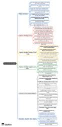 Price Determination Mind Map - UGC NET Commerce Preparation Course PDF