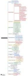 Mind Map: Quantitative Data Analysis - Crash Course for UGC NET ...