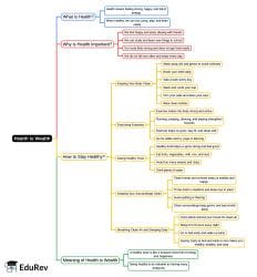 Mind Map: Health is Wealth - Class 1 PDF Download