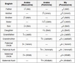 Family Members and Relationships - Arabic for Beginners - Grade 6 PDF ...