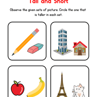 Visual Worksheet: Tall or Short (with Solutions) - Mathematics for ...