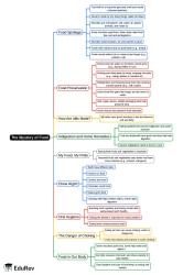 Class 5 EVS The Mystery Of Food Mind Map - Study Guide
