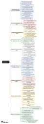 Mind Map: Environment and Urbanization - II - Crash Course for UGC NET ...