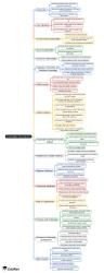 Mind Map: Sustainable Development - UPSC PDF Download