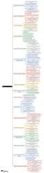 Mind Map: Physiology of Muscle - Physiology - NEET PG PDF Download