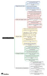 Geo-Chemical Carbon Nitrogen Oxygen Cycle and Ecological Pyramid Mind Map