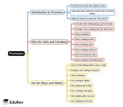 Pronouns Mind Map - LKG PDF Download