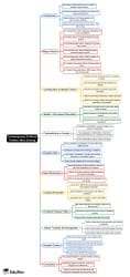 Mind Map: Contemporary Political Thinking: Mao Zedong - Crash Course ...