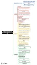 Root, Stem and Leaf Mind Map - JAMB Biology PDF Download