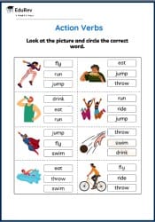 Visual Worksheet: Verbs - Class 2 PDF Download