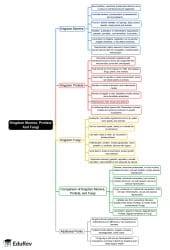 Kingdom Monera, Protista And Fungi Mind Map - NEET PDF Download