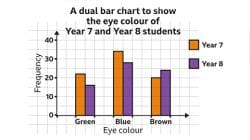 Bar Charts - Year 7 PDF Download