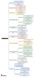 Money and Banking Mind Map - Humanities/Arts PDF Download
