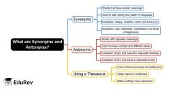 What are synonyms and antonyms Mind Map - Year 6 PDF Download