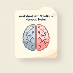 Worksheet with Solutions: Nervous System - Biology Class 8 ICSE PDF ...