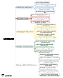 Mind Map: Facts on Trees - Class 1 PDF Download