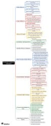 Introduction to Memory Techniques Mind Map - Class 6 PDF Download