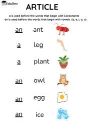 Printable Poster Articles - English for UKG PDF Download