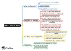 Learn Opposite Words Mind Map - UKG PDF Download