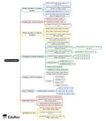 Whole Numbers Mind Map - Class 6 PDF Download