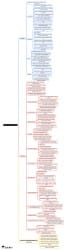 Vitamins and Minerals Mind Map - UPSC PDF Download