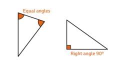 Properties of Triangles - Year 7 PDF Download
