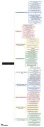 Mind Map: Indian Polity and Governance - 1 - UPSC PDF Download