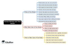 Mind Map: Human Beings and Their Needs - Class 1 PDF Download