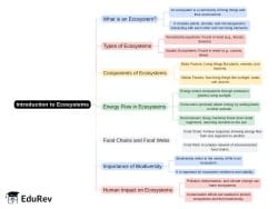 Mind Map - PDF Download