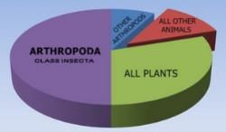 Classification of phylum Arthropoda - NEET PDF Download