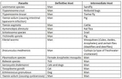 General Parasitology Chapter Notes - Microbiology - NEET PG PDF Download