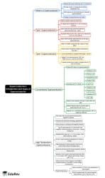 Mind Map: Introduction and Types of Superconductor - Physics PDF Download