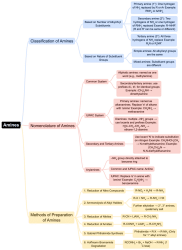 Detailed Mindmap: Amines - NEET PDF Download