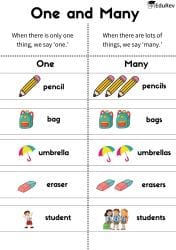 Printable Poster: One and Many - English for UKG PDF Download