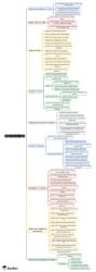 Mind Map: Indian Trust Act, 1882 - Property Law - CLAT PG PDF Download