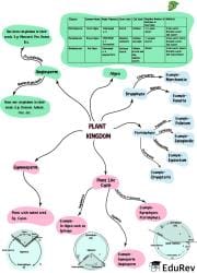 Doc lorem ipsum 0601x3 - 2D Design PDF Download