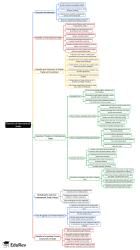 Mind Map: Theories of International Trade - UGC NET Commerce ...