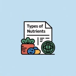 Types of nutrients - Crash Course for UGC NET Home Science PDF Download