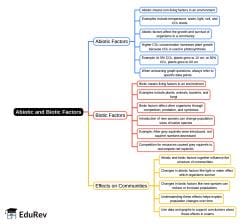 Mind Map: Abiotic and Biotic Factors - Grade 10 PDF Download