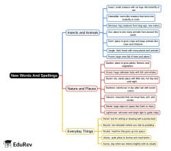 New Words And Spellings Mind Map - UKG PDF Download