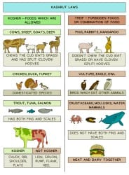 Judaism: Dietary Laws - Religion, Philosophy and Ethics for GCSE/IGCSE ...