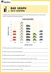 Visual Worksheet: Data Handling PDF Download